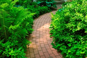Effective landscaping tips for Philippine gardens | Pinoy ePlans